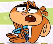 Scaredy Squirrel Wiki | Fandom