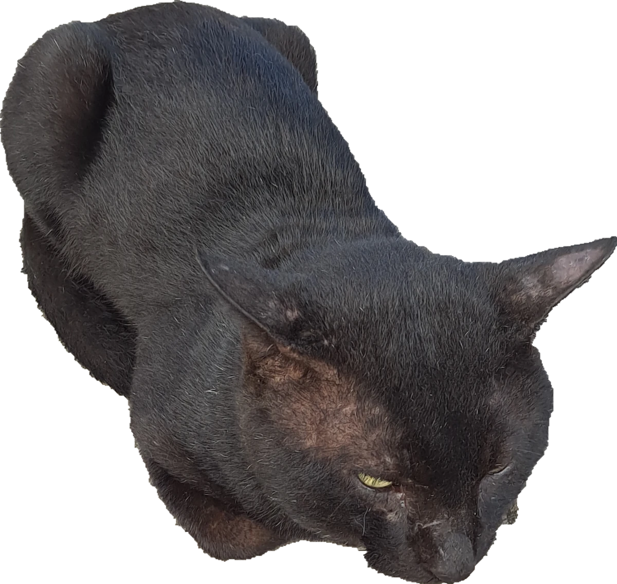 Mingming | Official Bread Group Wiki! Wiki | Fandom