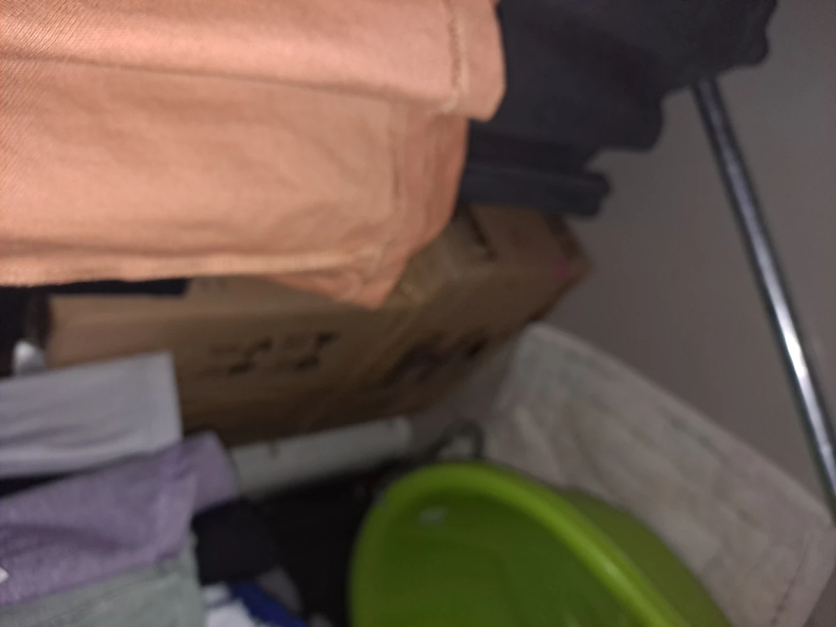 Kitten battle 3142 | Official Bread Group Wiki! Wiki | Fandom