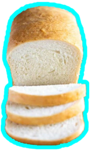 Payne | Official Bread Group Wiki! Wiki | Fandom