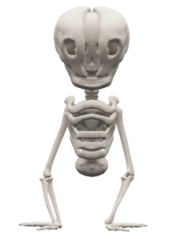 BonesWorth | DDBP Wiki | Fandom