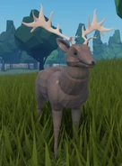 Leather | Empire Clash Official Wiki | Fandom