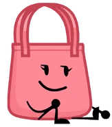 Purse | Official Fight in Flight Wiki | Fandom