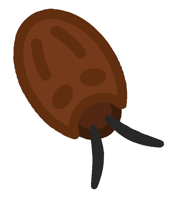 Roach | Official Florr.io Wiki | Fandom