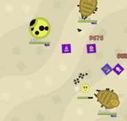 Ladybug | Florr.io Community Wiki | Fandom