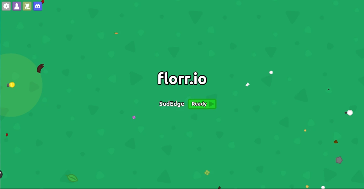 Florr.io UI | Official Florr.io Wiki | Fandom