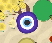 Nazar Beetle | Florr.io Community Wiki | Fandom