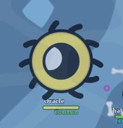 Oracle | Florr.io Community Wiki | Fandom