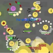 Hel | Florr.io Community Wiki | Fandom