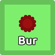 Bur | Florr.io Community Wiki | Fandom