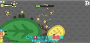 Jungle | Florr.io Community Wiki | Fandom