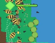 Square | Florr.io Community Wiki | Fandom