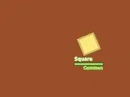 Square | Florr.io Community Wiki | Fandom