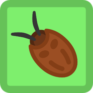 Roach | Florr.io Community Wiki | Fandom