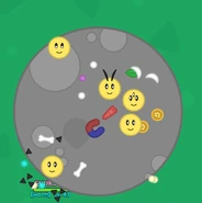 Moon | Florr.io Community Wiki | Fandom