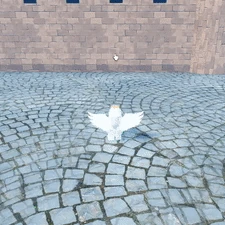 Magma | Official Fruit Battlegrounds Wiki | Fandom