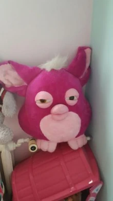 Unnamed Bootleg 2005 Furby Plush | Official Furby Wiki | Fandom