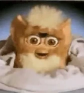 Early Furby Prototypes | Official Furby Wiki | Fandom