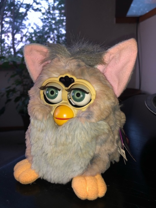 Sunbleached Furbys Official Furby Wiki Fandom