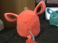 Coral Furby Connect | Official Furby Wiki | Fandom