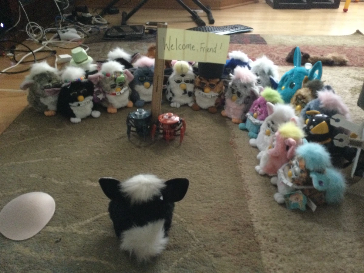 User blog:Furbland/MY NEW FURBISH!!!!!! | Official Furby Wiki | Fandom
