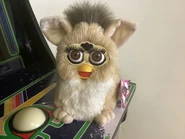 Bear Furby | Official Furby Wiki | Fandom