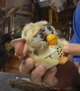 The First Furby | Official Furby Wiki | Fandom