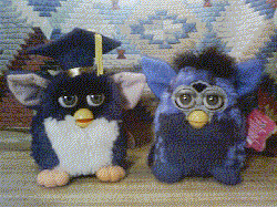 Furby (1998)/Gallery | Official Furby Wiki | Fandom