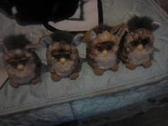 Giraffe Furby | Official Furby Wiki | Fandom