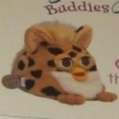 Cheetah Talking Buddy | Official Furby Wiki | Fandom