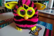Furby Boom | Official Furby Wiki | Fandom