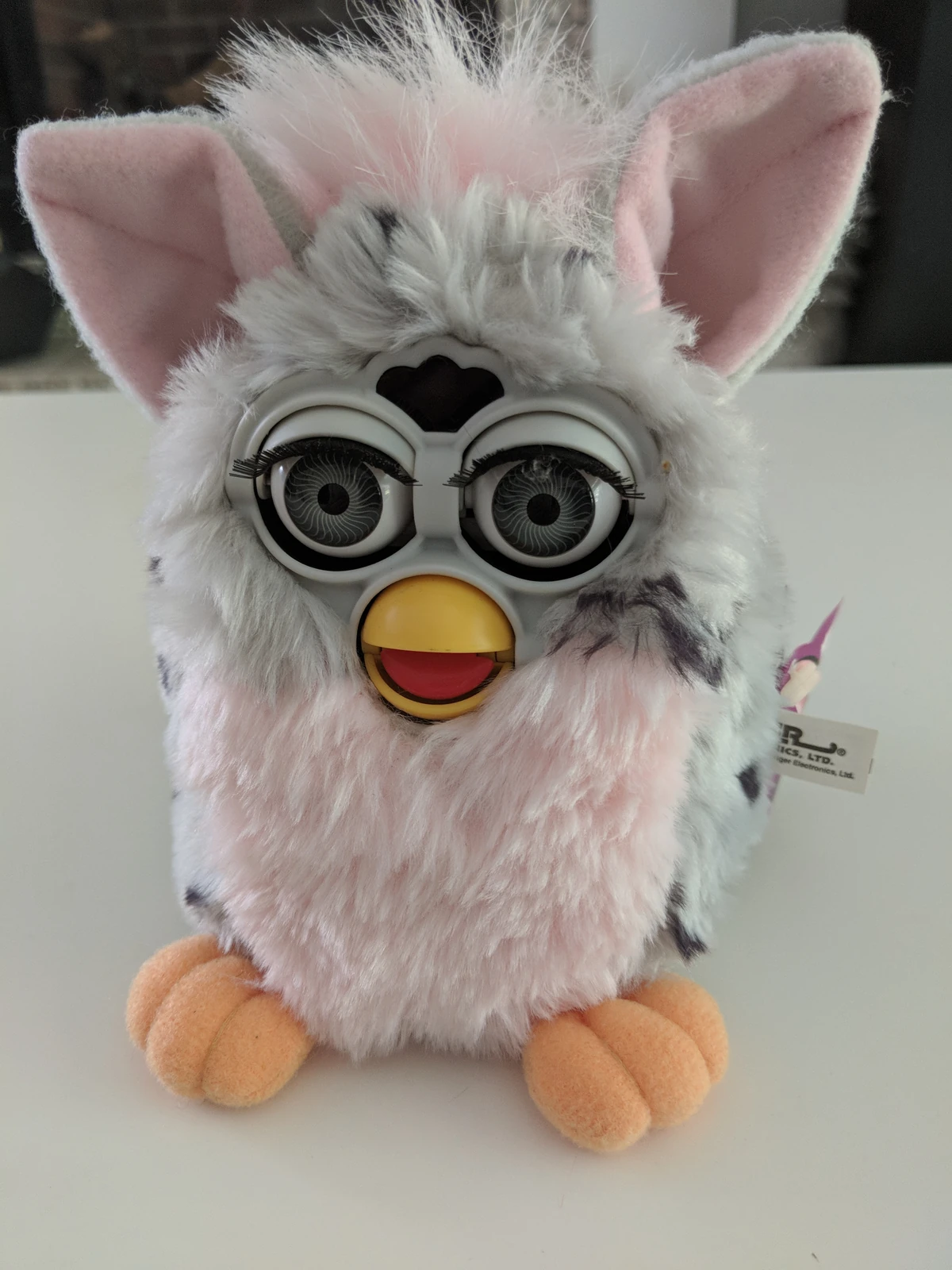 User blog:Connor06/My Furby Family | Official Furby Wiki | Fandom