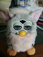 Leopard Furby/Gallery | Official Furby Wiki | Fandom