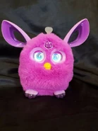 Magenta Furby Connect | Official Furby Wiki | Fandom