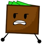 Wallet | Inanimate Objects Wiki | Fandom