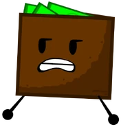 Wallet | Inanimate Objects Wiki | Fandom