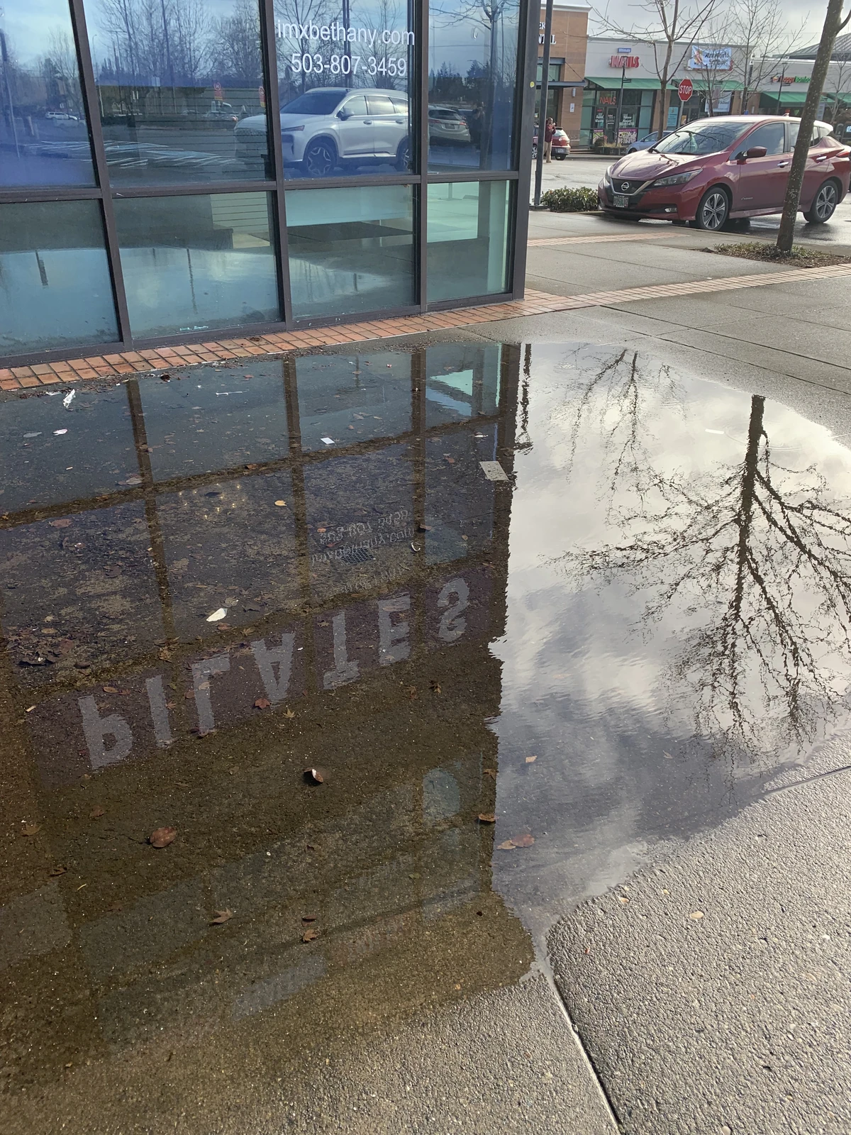 Lake Union | Official ISB Lore Wiki | Fandom