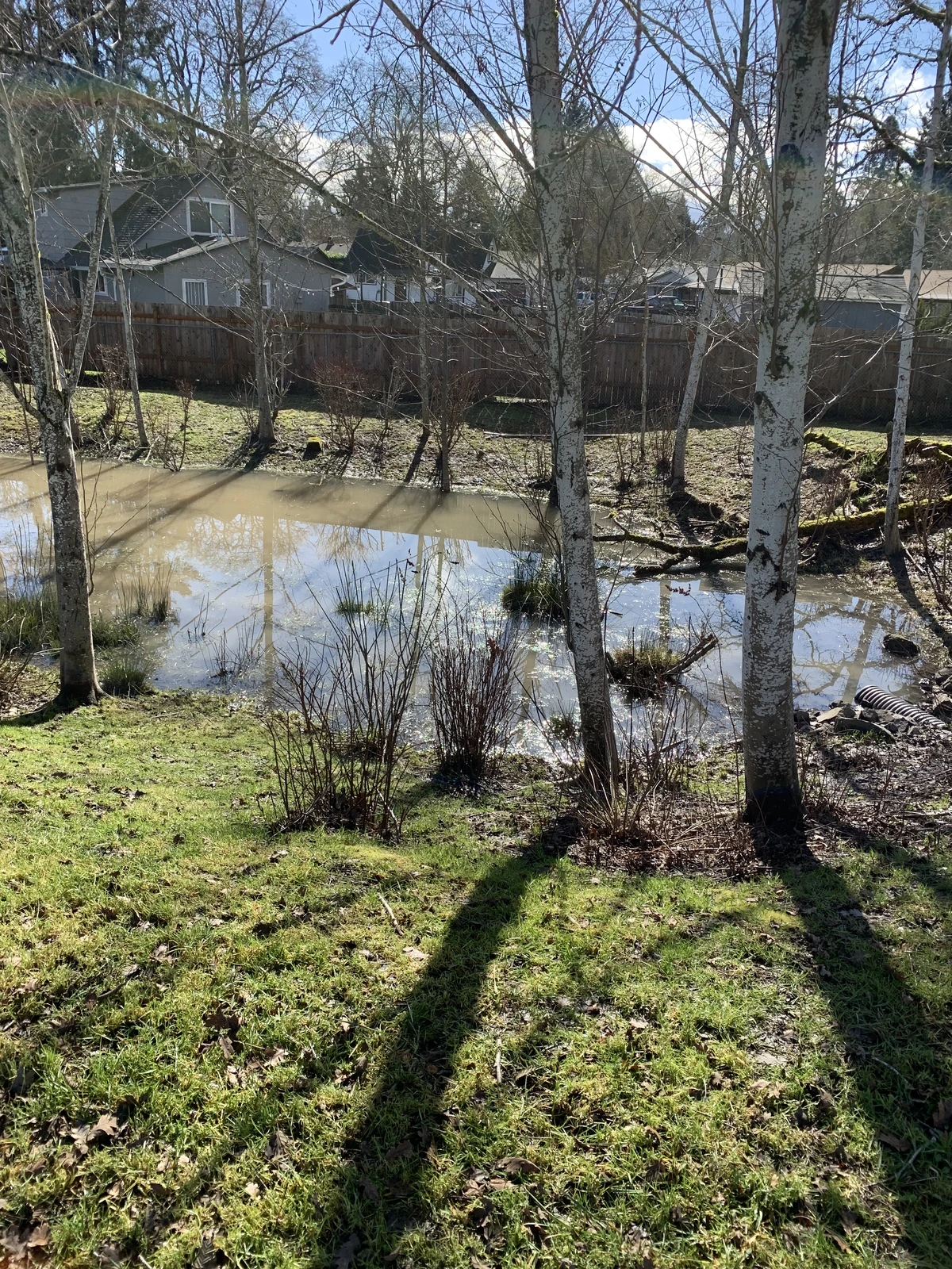 Lake Aloha | Official ISB Lore Wiki | Fandom