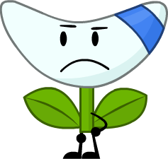 Boomerang Flower | Official Item Invasion Wiki | Fandom