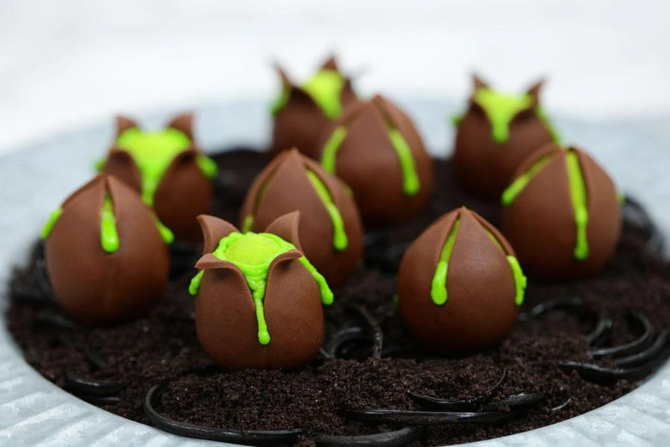 Alien Egg Cake Balls | Official Nerdy Nummies Wiki | Fandom
