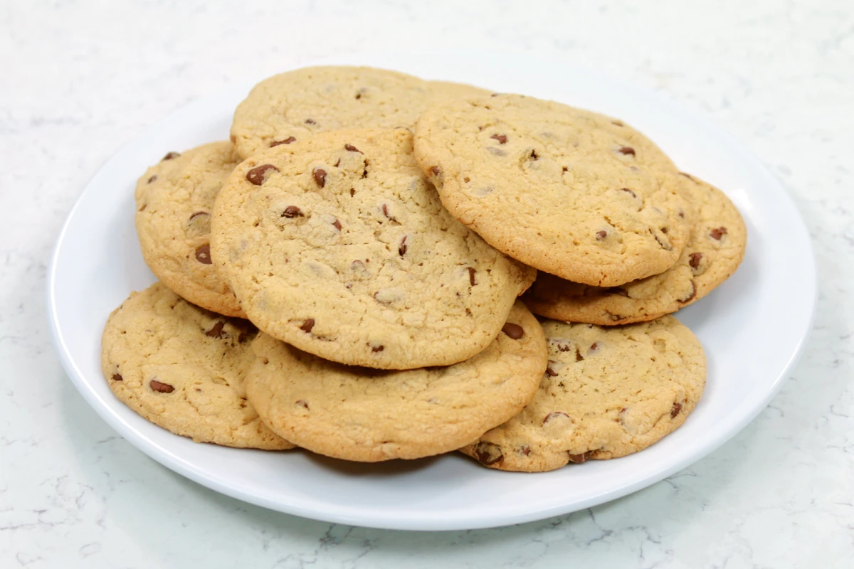 Chocolate Chip Cookies | Official Nerdy Nummies Wiki | Fandom