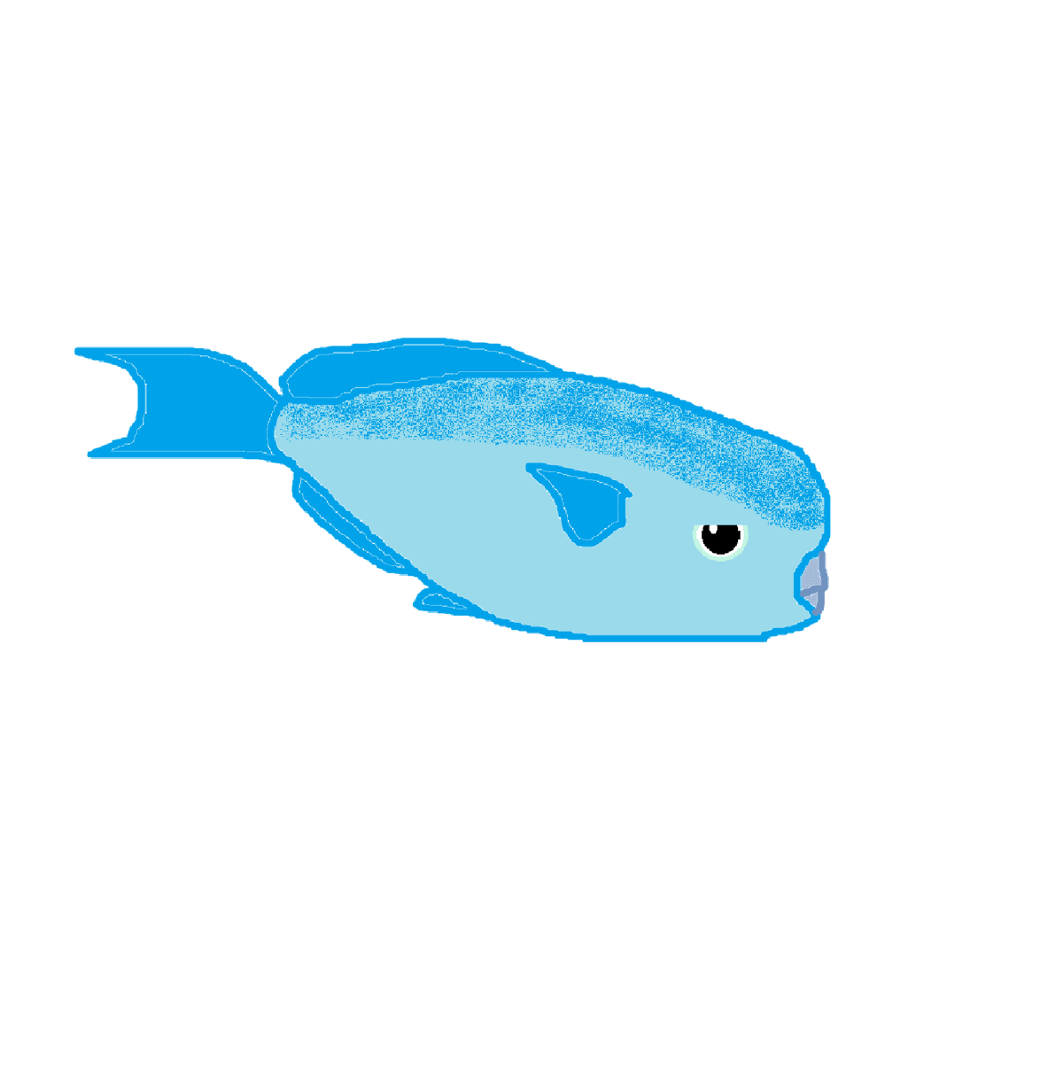 Blue parrotfish | Official Roblox Jimmys House Wiki | Fandom