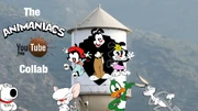 The Animaniacs YTP Collab | Official YouTube Poop Wiki | Fandom