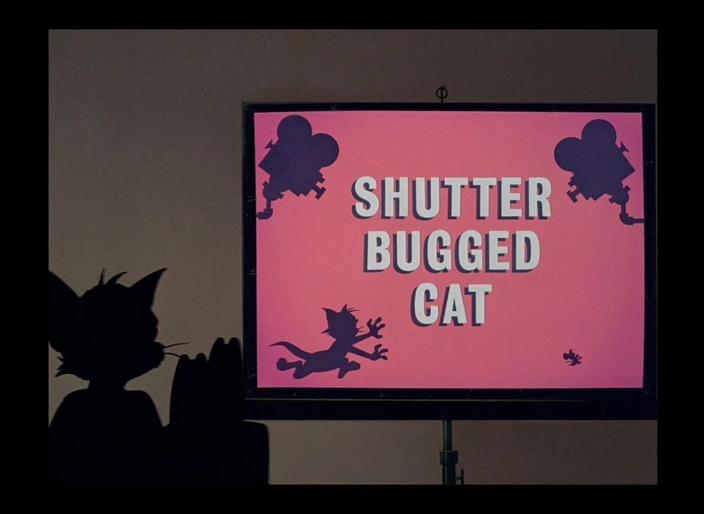 Shutter Bugged Cat (1967) | Official YouTube Poop Wiki | Fandom