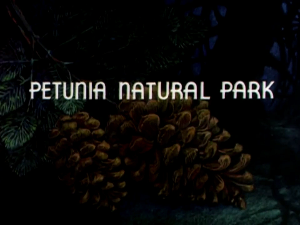 Petunia Natural Park (1939) | Official YouTube Poop Wiki | Fandom