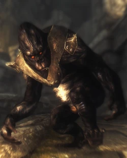 Imga | Officialbestiary Wiki | Fandom