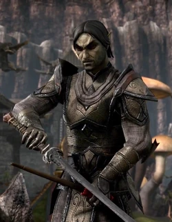 Dunmer | Officialbestiary Wiki | Fandom