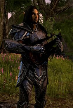 Altmer | Officialbestiary Wiki | Fandom