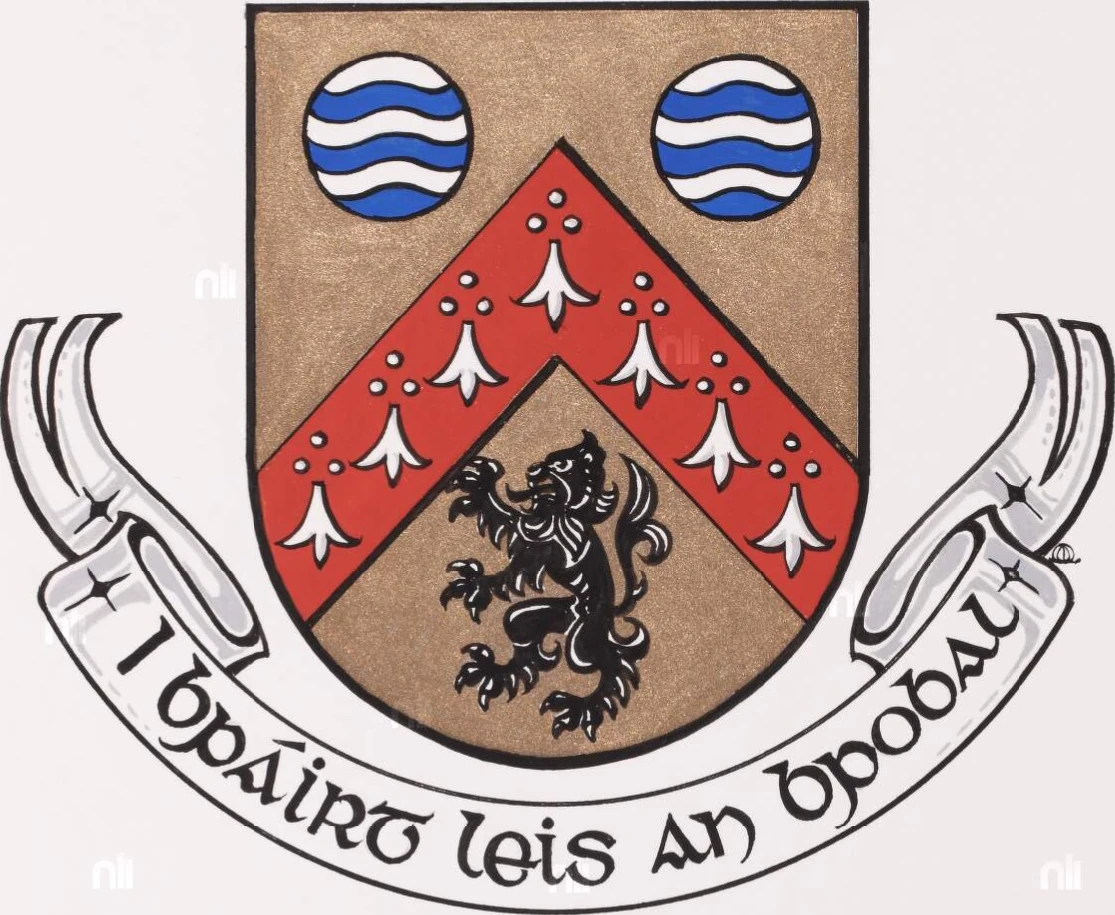 County Laois | Sourced Blazons Wiki | Fandom
