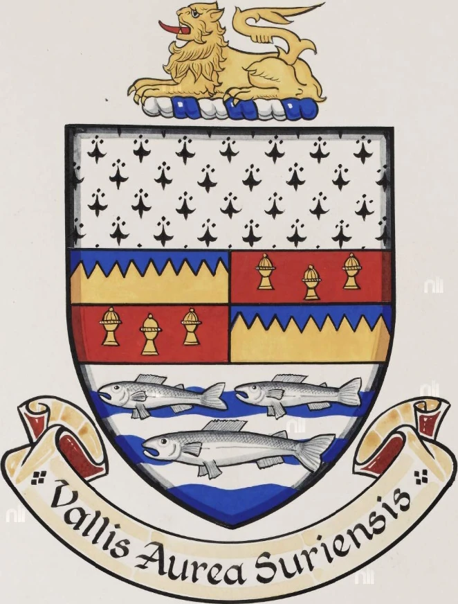 South Tipperary | Sourced Blazons Wiki | Fandom